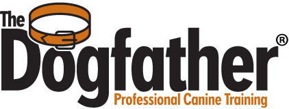 One To One Dog Training - The Dogfather